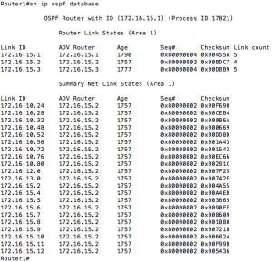 OSPF Topology Database- Design Optimization Principle of ISP IGP Routing | APNIC Blog