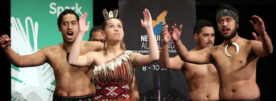 NZSeries: Establishing NetHui, the people’s event | APNIC Blog