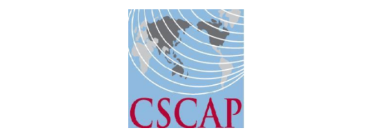 Event Wrap: CSCAP Workshop on Cybersecurity, Indonesia | APNIC Blog