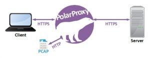 Decrypting TLS traffic with PolarProxy | APNIC Blog
