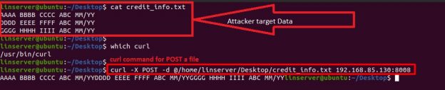 How to: Detect and prevent common data exfiltration attacks | APNIC Blog
