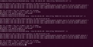 How to: Detect and prevent common data exfiltration attacks | APNIC Blog