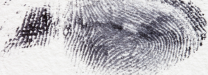 JA4+ network fingerprinting | APNIC Blog