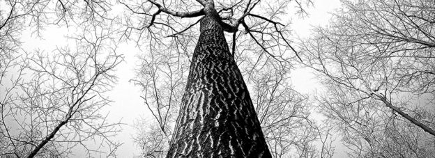 Longest prefix matching in networking chips | APNIC Blog