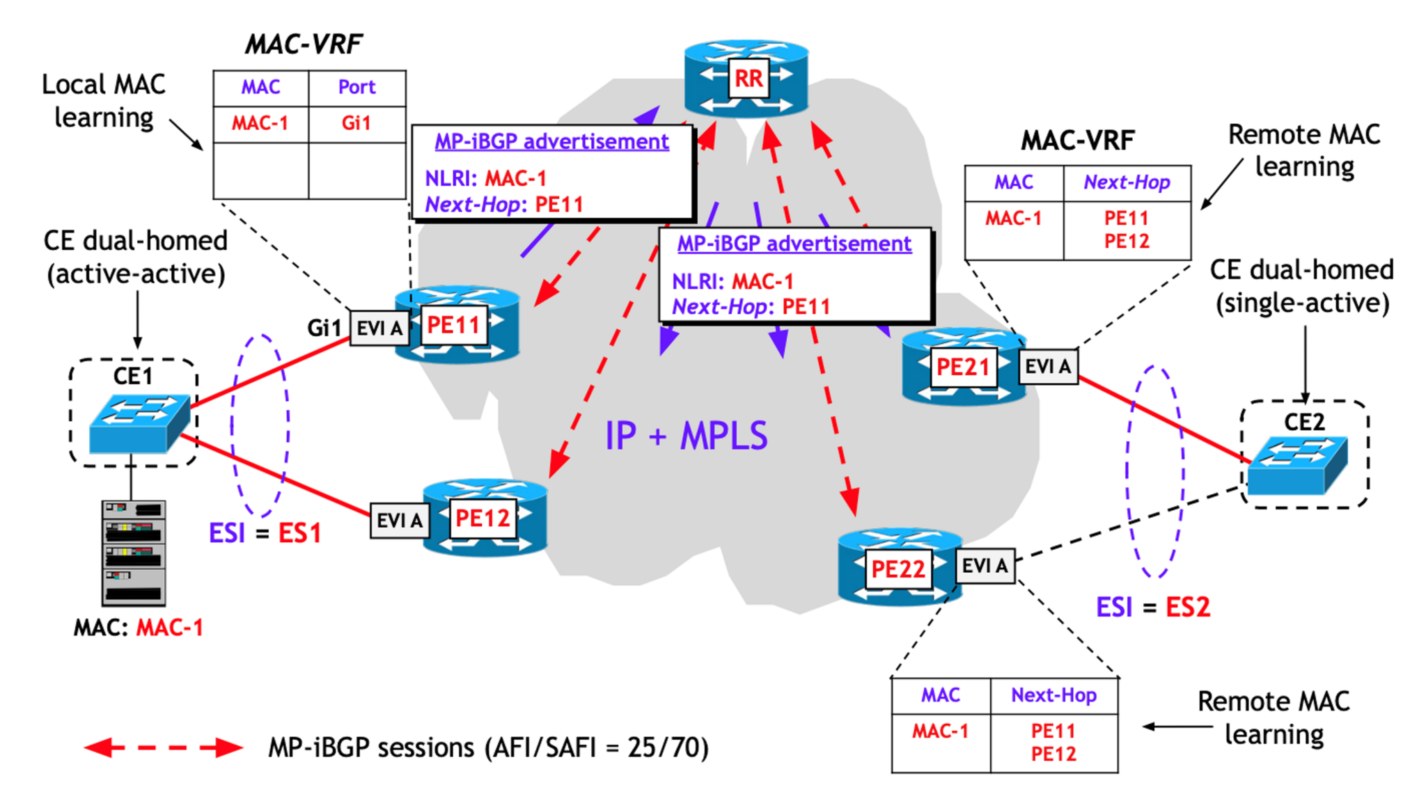 BGP in the EVPN model | APNIC Blog
